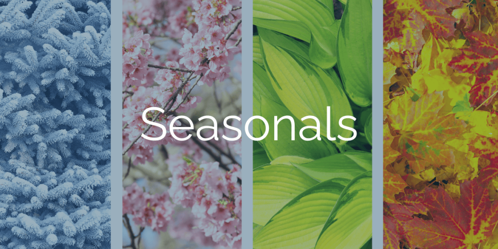 Shop Category: Seasonals - My Mommy Journey PLR Shop